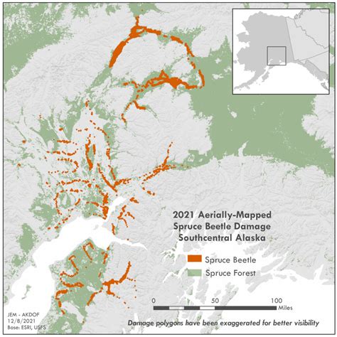 Outbreak Status Spruce Beetle In Alaskas Forests