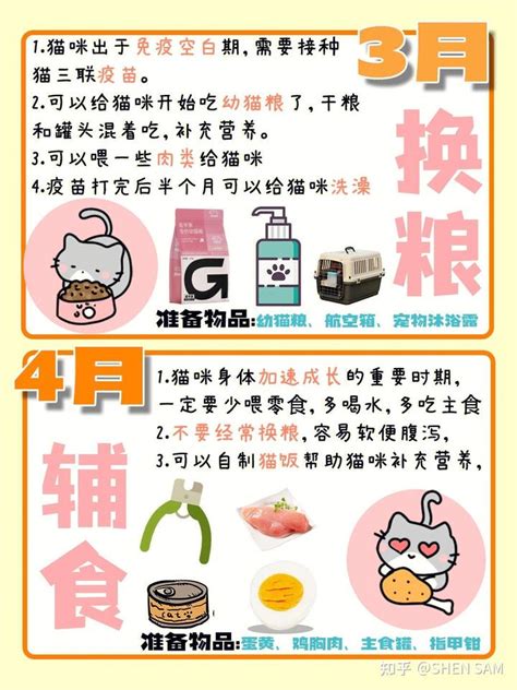 0 12月幼猫喂养指南 知乎