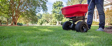 Pythium Blight Disease Prevention Guide