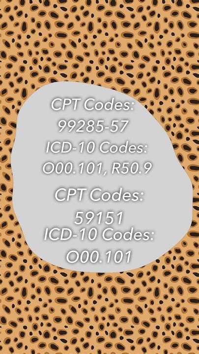 Day In The Life Of A Medical Coder Code With Me Medicalcoding Youtube