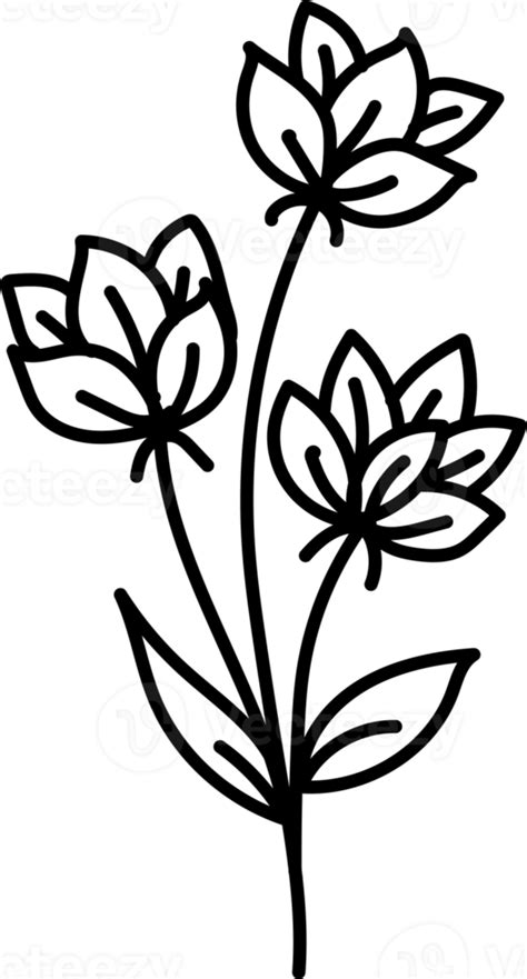 Naturel Ligne Art Conception élément Avec Noir Mince Doubler Png Avec