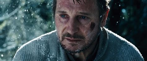 The Grey 2011