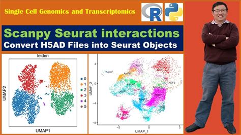 Scanpy Seurat Video Tutorials Convert H5ad Files Into Seurat Objects Youtube