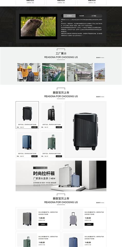 模板详情 阿里旺铺装修市场 花瓣网