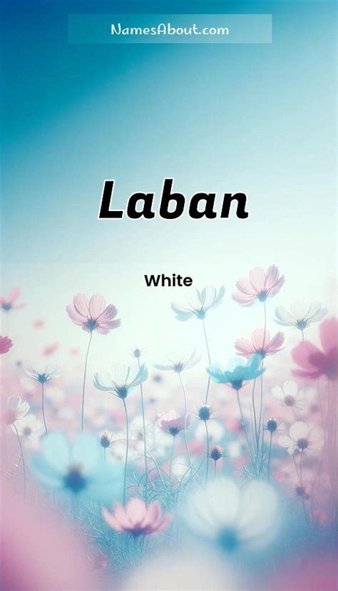 Laban Name Meaning And Origins Nicknames Sibling Ideas