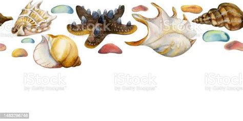 손으로 그린 수채화 껍질 화려한 바다 유리 불가사리 이음매 없는 수평 배너 흰색 배경에 격리되어 있습니다 벽 예술 결혼식 인쇄 직물 표지 카드 관광 여행 소책자를 위한