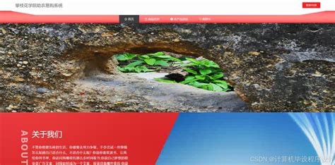 【开题报告】基于springboot vue攀枝花学院助农义购系统（程序 源码 论文 计算机毕业设计 csdn博客