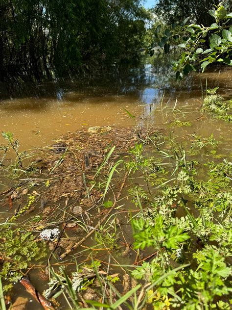 Өнгөрсөн долоо хоногт гамшиг аюулт үзэгдлийн улмаас 12 хүн нас баржээ ТАС МН