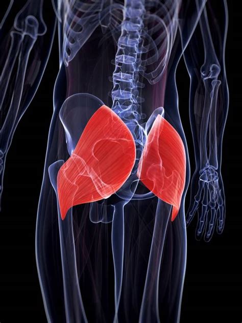 Hows Your Butt Gr Life Ceo