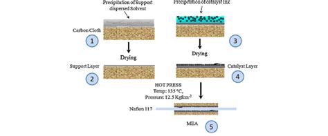 Schematic Procedure For Mea Fabrication Download Scientific Diagram