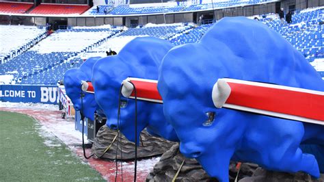 Watch Behind The Scenes Of Bison Statue Selection Outside New Highmark