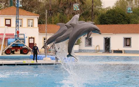 Intro To Ddl Dml And Dcl Commands In Mysql