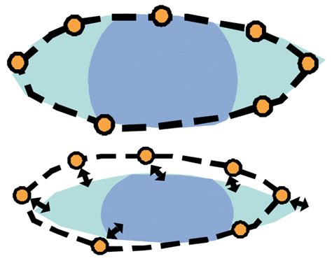 tracking with active contours download scientific diagram