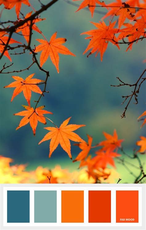 Burnt Orange Color Palette In 2020 Color Palette Oran