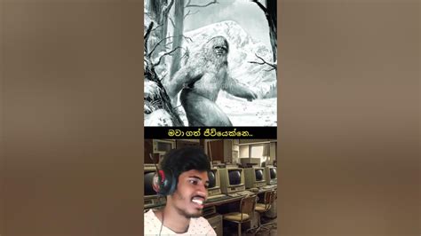 යෙටී කියන්නෙ සත්‍යක් ද මිත්‍යාවක්ද😨💀 Youtube