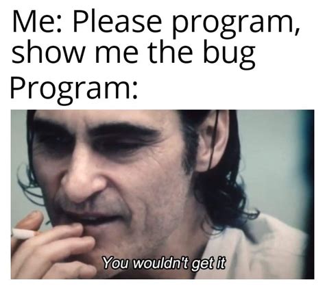 me while debugging r programmerhumor