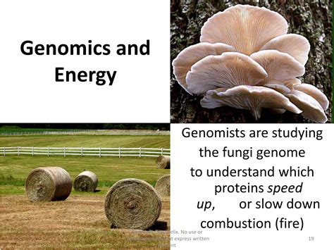 Genomics And Openhelix Basic Intro 12apr09 Ppt