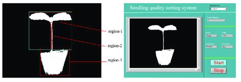 Multi Indicator Detection System For Seedlings Download Scientific