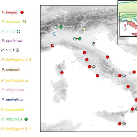 Verification Of Significantly Detected Sex Related Degs Using