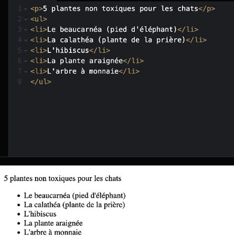 Comment Faire Une Liste Html Balises Et Et