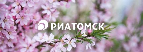 Радио Эхо Москвы в Томске Томское деревянное зодчество может попасть в список ЮНЕСКО