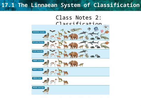 Pptx 171 The Linnaean System Of Classification Class Notes 2