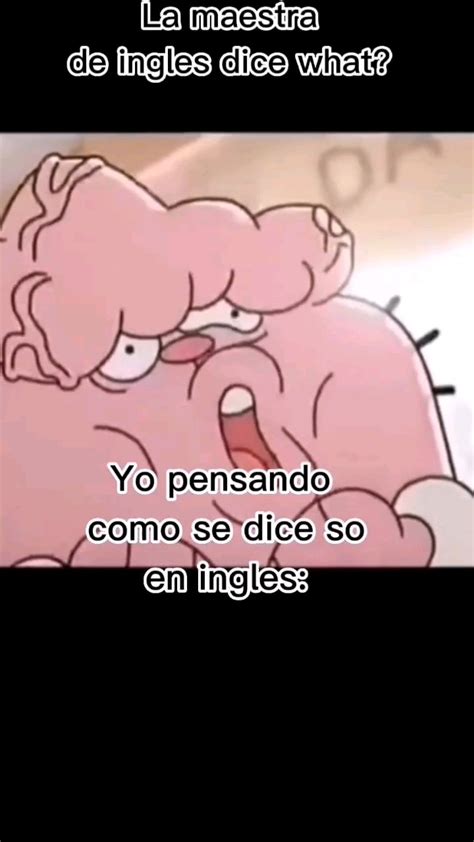 Confirmo R Rakkun