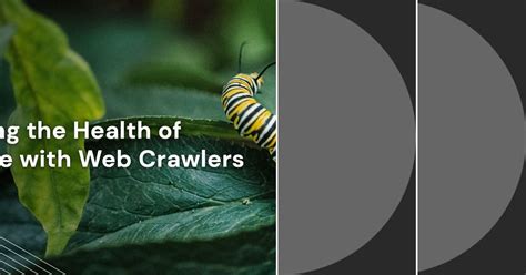 List Site Performance Curated By Vijay Raj Medium