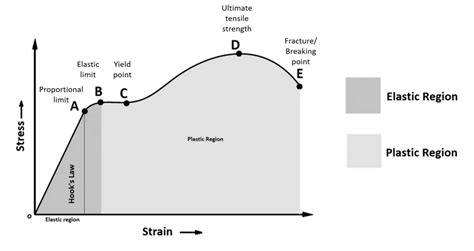 Stress Strain Viscoelastic Behavior Epomedicine