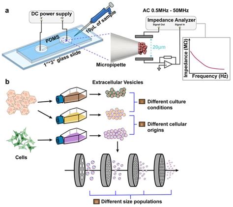 Biosensors Mdpi On Linkedin Exosome Electrical Impedance Spectroscopy Biosensor Abstract