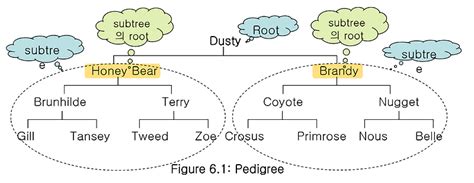 데이터 구조 17차시 트리tree 트리 개념과 이진 트리binary Tree