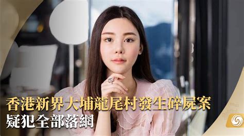 香港新界大埔龙尾村发生碎尸烹尸案 疑犯全部落网凤凰网视频凤凰网