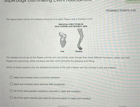 [answered] Super Bugs The Figure Below Shows The Skeletal Structure Of Kunduz
