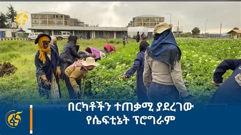 በርካቶችን ተጠቃሚ ያደረገው የሴፍቲኔት ፕሮግራም Youtube