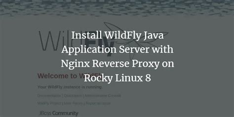 Install WildFly Java Application Server With Nginx Reverse Proxy On