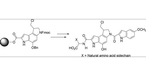 Solid Phase Synthesis Of Duocarmycin Analogues And The Effect Of C