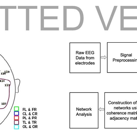 A A Brain Map Of The Electrode Positions Of The EEG Cap All The Download Scientific Diagram