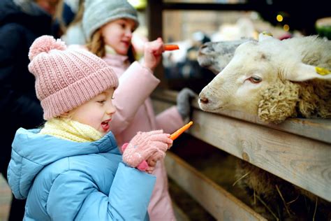 Куда пойти с детьми в Риге Planet Of Hotels