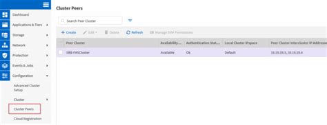 Create A Netapp Svm Dr Mirror