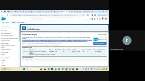 Iics Cai Salesforce Connection And Process Flow Part 1 Youtube