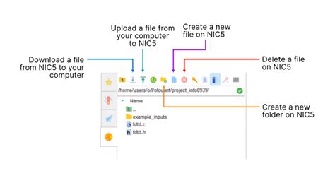 Managing Files INFO Lecture Notes