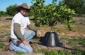 Tree T Pee Net Worth How Much Is Johnny Georges Worth Networthages