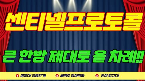 센티넬프로토콜 큰 한방 제대로 올 차례 Youtube