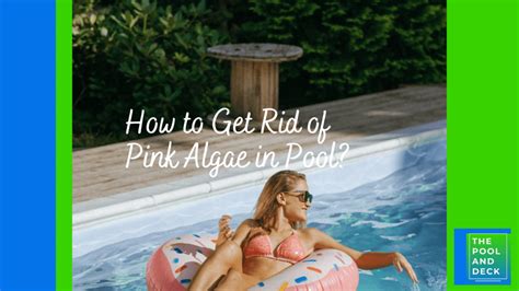 How To Get Rid Of Pink Algae In Pool Step Effective Process