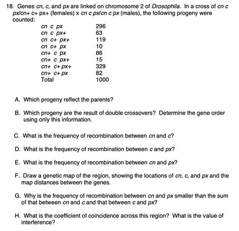 Solved Genes Cn C And Px Are Linked On Chromosome Of Chegg Com