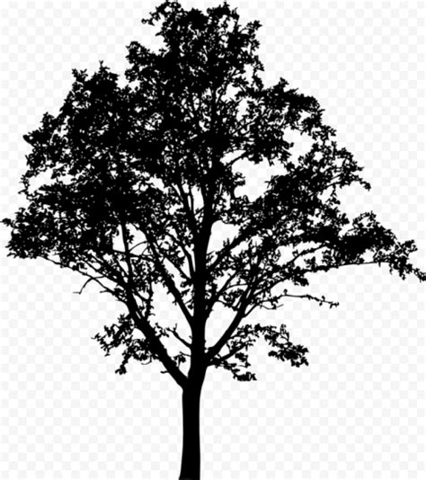 Tree Line Silhouette Png Pxpng