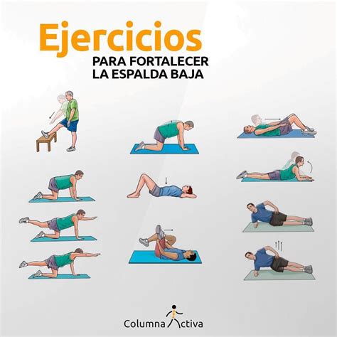 Ejercicios Para La Espalda Ejercicios Para Dolor De Espalda