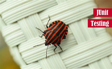 Junit Testing In Java The Renegade Coder