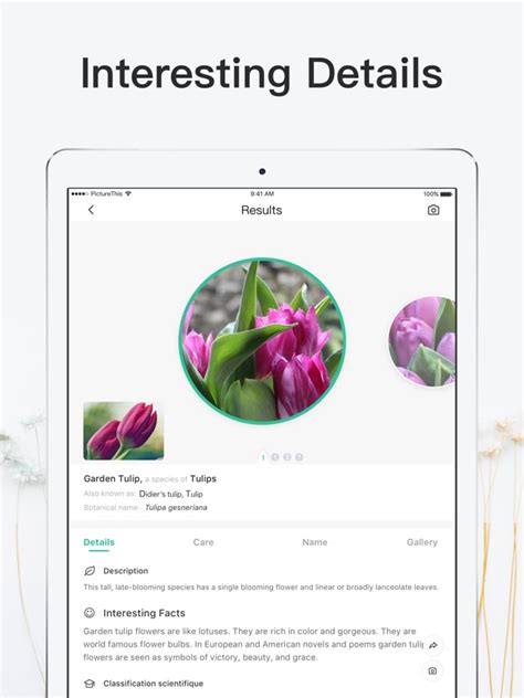 Flower Recognition App Ipad Best Flower Site