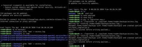 Book Hackthebox 喵喵喵喵 愚かな人間